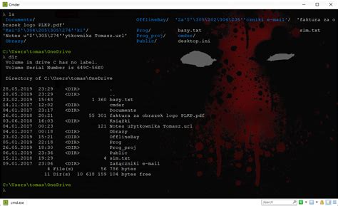 ls is not working correctly in cmder with unicode characters · issue