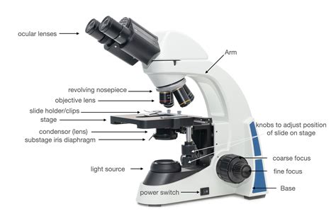 Compound Microscope Labeled