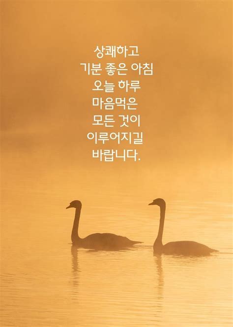 기분 좋은 아침 좋은 아침 이미지 좋은 아침 인사 아침