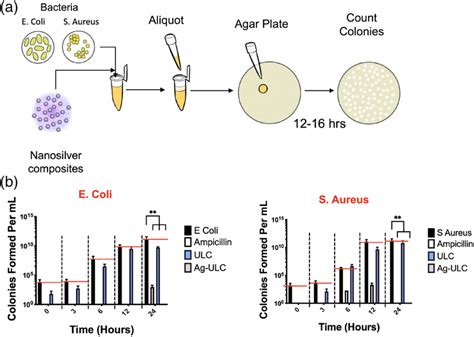 A Schematic Of The Colony Forming Units Cfu Assay B Summary Of Download Scientific