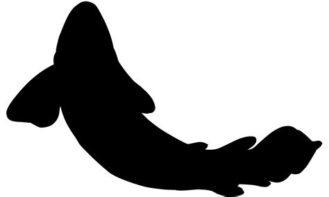 Sauripterus Taylori By Dmitry Bogdanov Cc By 4 0 Phylopic