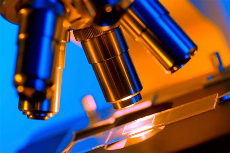 New Study Finds Pentadecanoic Acid Metabolizes Into Full Acting