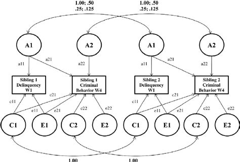The Bivariate Cholesky Model Download Scientific Diagram