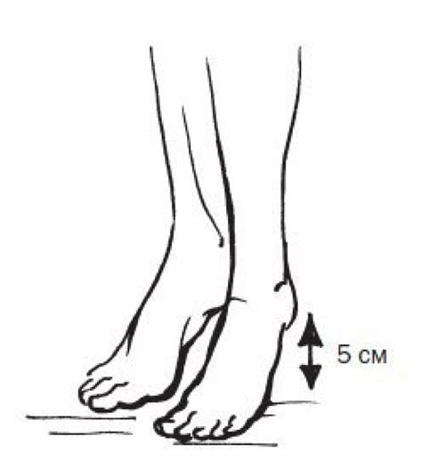 Чудодейственная виброгимнастика академика Микулина Здоровье Упражнения Физкультура