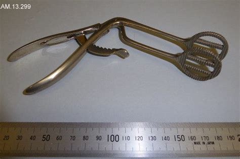 Tonsil Forceps Am13299 Ehive