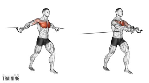 Cable Flyes Form