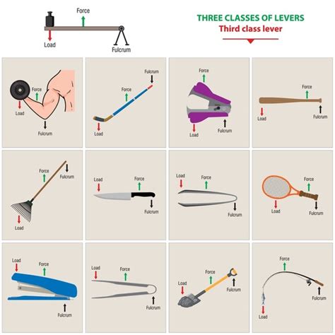 Examples Of Levers In Real Life