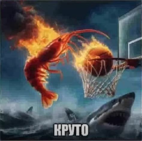 Ответы Mail Скиньте ту пикчу где креветка играет огненным мячом в баскетбол подпись круто