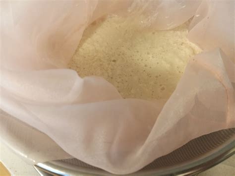 비건치즈 두유로 크림치즈만들기