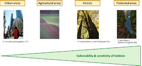 2 Illustrative Context Indicating The Vulnerability As Well As