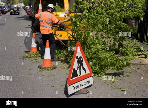 Near A Man At Work Warning Sign Council Tree Surgeons Feed Freshly Cut Branches Into A Shredder