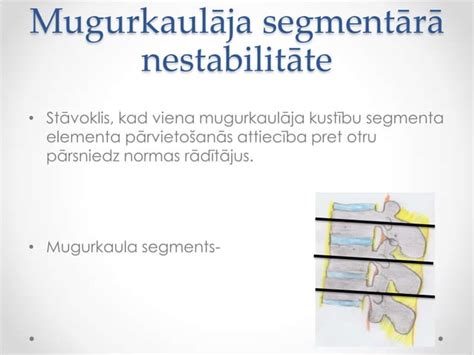 5 Decembris Kristaps Jurjans Pptx