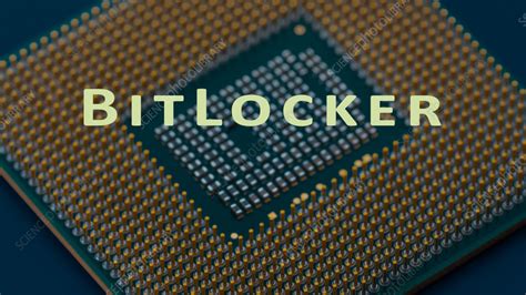 Bitlocker Stock Image F044 6017 Science Photo Library