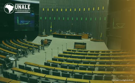 O Papel Do Poder Legislativo Estadual E Federal Unale