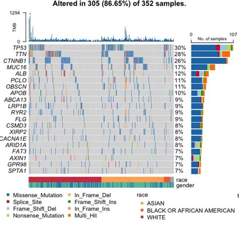 Maftools癌症体细胞变异突变分析工具学习