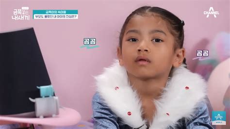 전태풍 딸이 싫어하는것 유머움짤이슈 에펨코리아