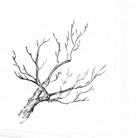 Stick Tree Drawing At GetDrawings Free Download