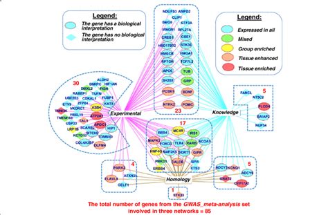 Genes From The Gwas Meta Analysis Set That Are Involved In Three Download Scientific Diagram