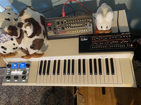 How Are You Running Tracks And Rhythm Together Rnovationcircuit