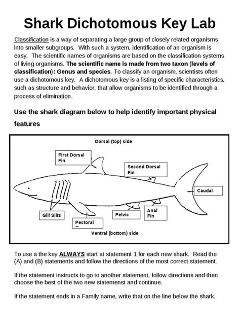 Fish Dichotomous Key Dichotomous Key Classification Fish Then Asonstudio