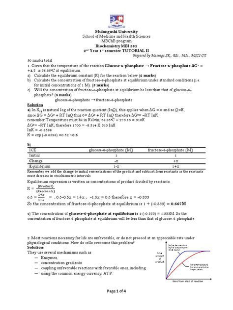 tutorial 2 solutions pdf