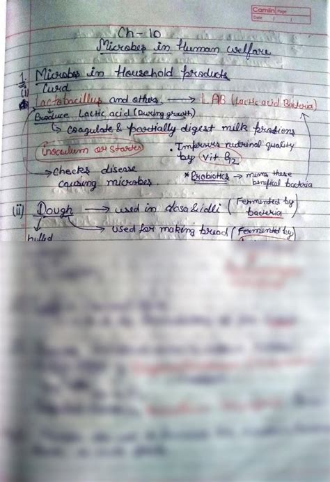 SOLUTION Microbes In Human Wellfare Class Th Ncert Biology Notes Studypool