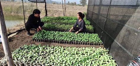 ជួយស៊ែរ ឲ្យអ្នក អត់ ការងារ បាន ដឹង ផង ឧកញ៉ា ណាវ៉ាត្រាជ្រើសរើសបុគ្គលិក 400នាក់ ប្រាក់ខែ 250