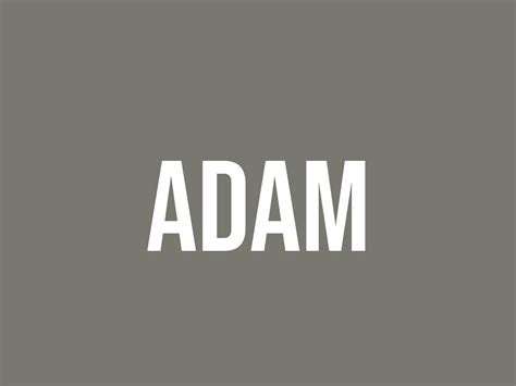 What Does Adam Mean Meaning Uses And More Fluentslang