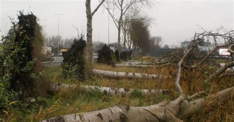 Verdiepingsseminar Visual Tree Assessment Vta