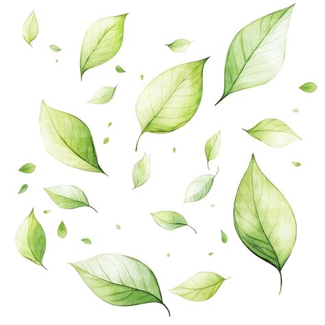 14 Spring Leaf Clipart Watercolor Leaves For Scrapbooking Etsy