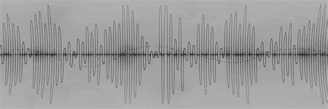 Filip Rožánek Rozanek Mastodonczech Cz Mastodonczech