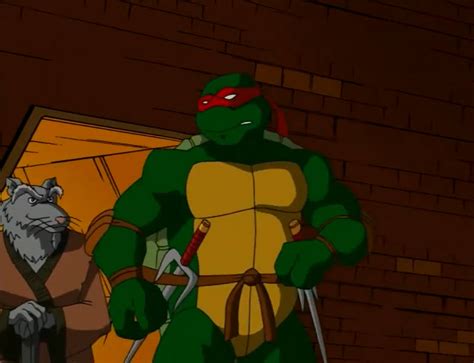 Tmnt 2003 Splinter And Raph By Hedwieapotter On Deviantart