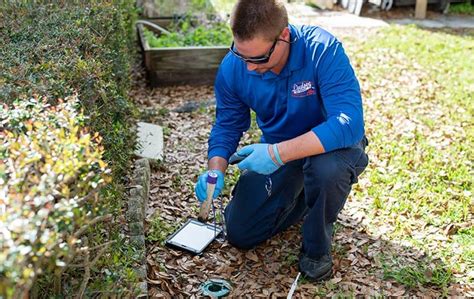 The Importance Of Wdo Inspections In Jacksonville