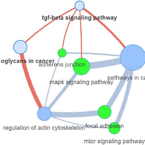 Extended Complementary Network Download Scientific Diagram