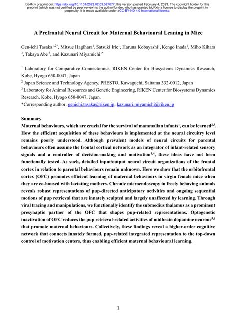 Pdf A Prefrontal Neural Circuit For Maternal Behavioural Leaning In Mice