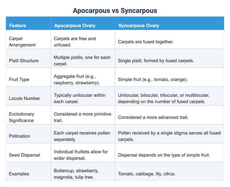 Apocarpous Vs Syncarpous