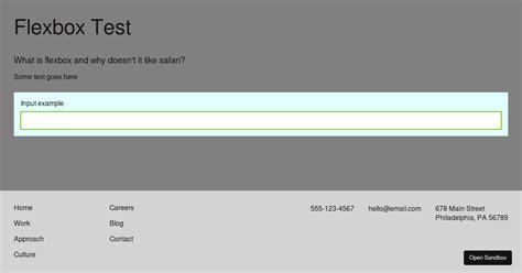 input autofill test codesandbox