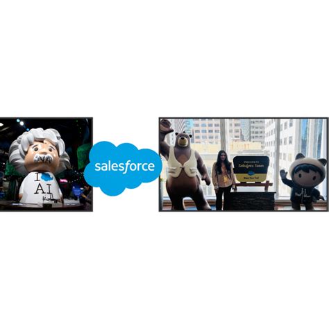Discovering The Trailblazer Spirit My Internship Journey At Salesforce