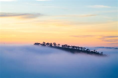 “hunting” The Early Morning Mist On Three Hills In Da Lat Read To Lead