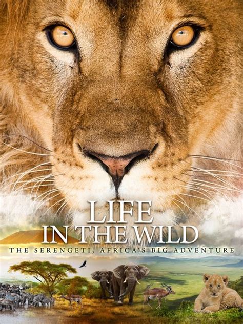 Life In The Wild — The Movie Database Tmdb
