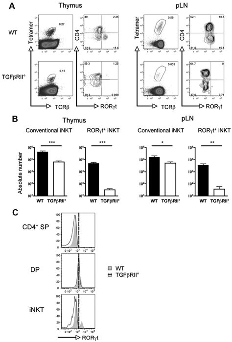 Tgf Signaling Is Required For Rort Inkt Development A Flow Download Scientific Diagram