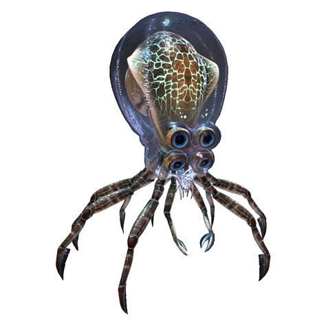 Crabsquid Subnautica Concept Art Subnautica Creatures Fauna