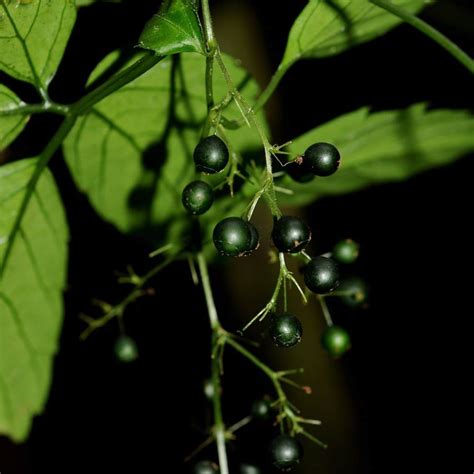 國立屏東科技大學 Npustofficial • Instagram Photos And Videos