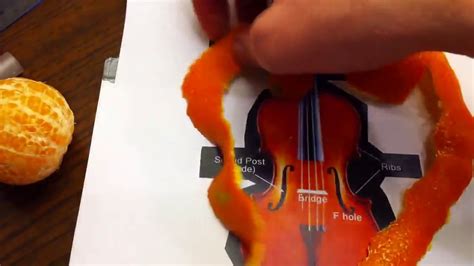 Why Is There A F Hole In A Violin Stringed Instrument What Is The Origin Of That Form Gigazine