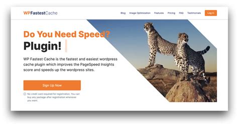 Best Wordpress Caching Plugins 2024
