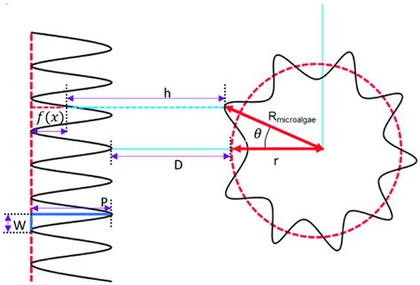 Parameters Involved In The Interaction Between Membrane Surface And Download Scientific Diagram
