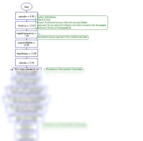 Solution Screenshot Raptor Flowchart Declaration Page Studypool