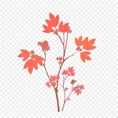 손으로 그린 가을의 단풍 나무 일러스트 가을 단풍잎 나무 Png 일러스트 및 Psd 이미지 무료 다운로드 Pngtree