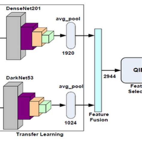 Classification Test Results Of Proposed Wbcs Classification System With Download Scientific