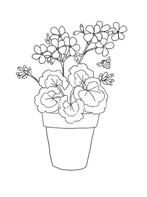 Раскраски комнатные растения для детей найдено 90 картинок